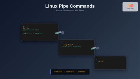 expect command linux complete guide to automate interactive programs