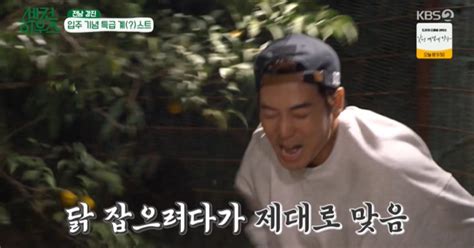 주상욱 닭한테 뺨 맞고 현타 어릴 때부터 맞아본 적 없어”세컨하우스 결정적장면