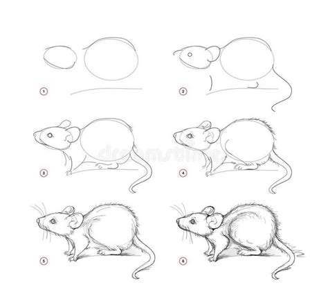 learn to draw a cute mouse sketch step by step tutorial