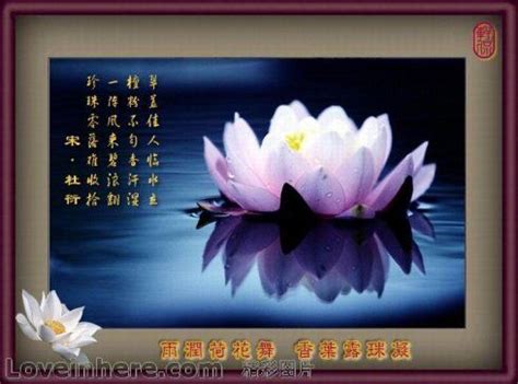 荷塘喝火令五阙古韵 江山文学网