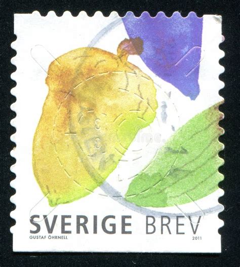 Seed Capsules Editorial Photo Image Of Container Historic 363278326