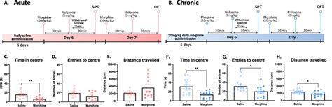 Naloxone Induced Anxiety Like Behaviour In Acute And Chronic