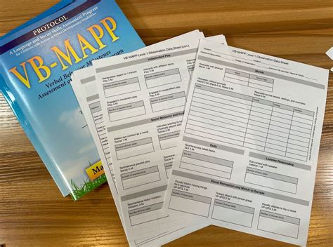 tips for conducting the vb mapp the autism helper