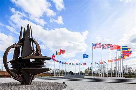 СМИ узнали о желании США пригласить Украину в НАТО Политика