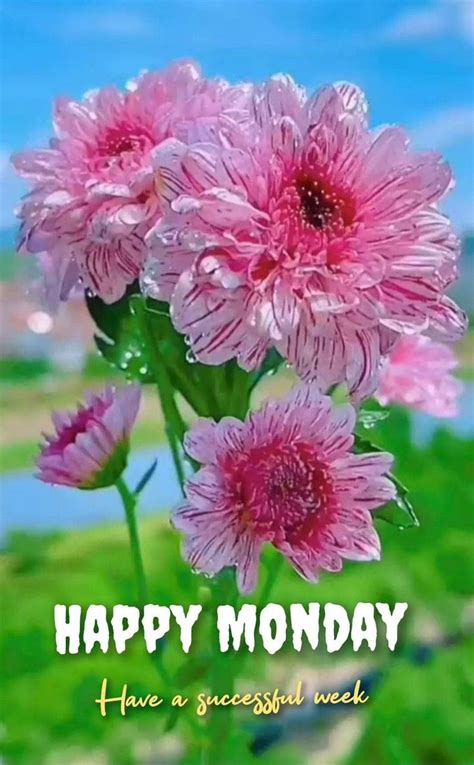Monday Good Morning Images Quotes And Wishes To Inspire Your Week