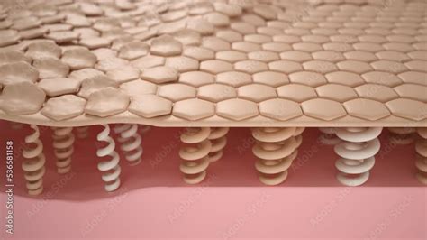 Animation Of Skin Cell Repair Rejuvenation And Regeneration Of The