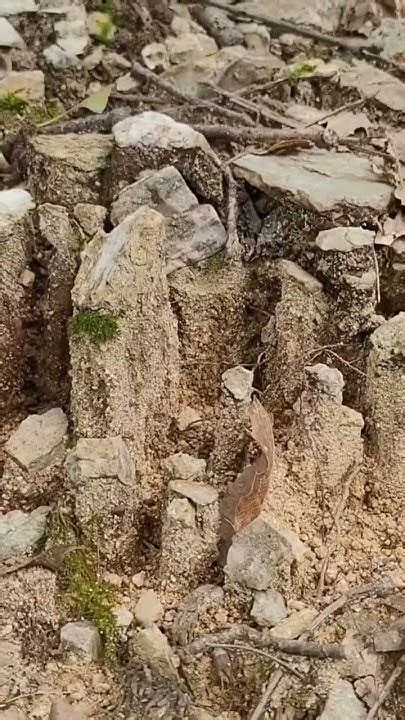 산에 갔더니 비를 맞고 깎인 작은 돌이 자연적인 절벽을 만들었다 Youtube