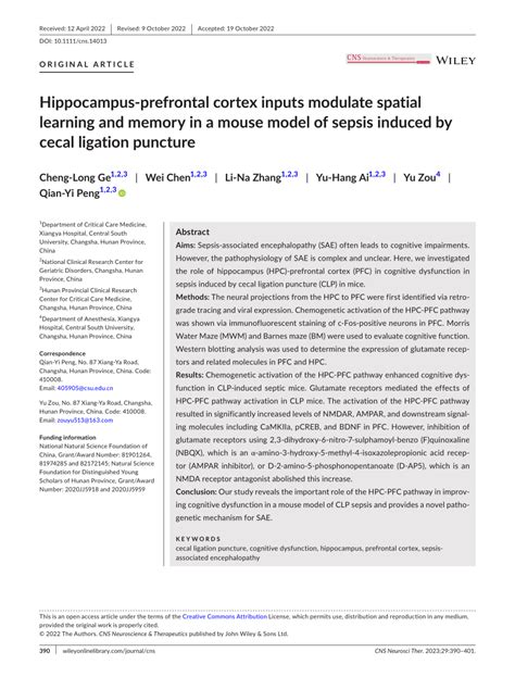 Pdf Hippocampus‐prefrontal Cortex Inputs Modulate Spatial Learning And Memory In A Mouse Model