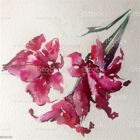 추상 밝은 색상 장식 배경 꽃 무늬 핸드메이드 글래디올러스 꽃의 아름다운 부드러운 낭만적 인 꽃다발 0명에 대한 스톡 벡터 아트