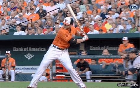 Orioles Logo  Orioles S Of The Week Camden Chat Some Of
