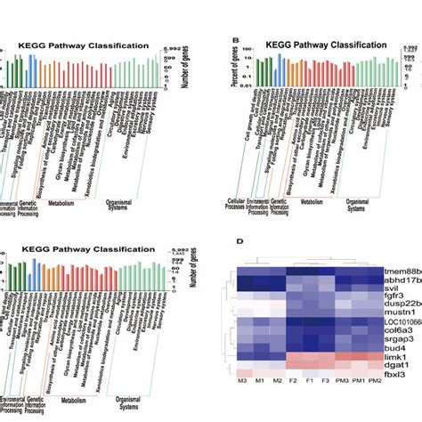 Classification Histogram Of Gene Ontology Go Annotations Of Different Download Scientific