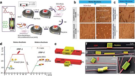 growth of heterogeneous structures consists of nanosheets and nanorods