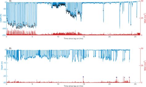 Low Energy Expenditure And Resting Behaviour Of Humpback Whale Mother
