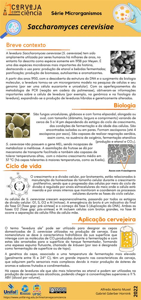 Pdf Saccharomyces Cerevisiae Série Microrganismos Infográfico