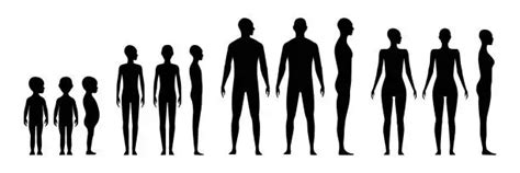 Free Male Body Silhouette Front Vector Images Freeimages