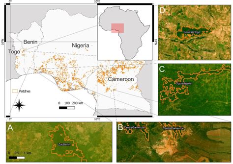 Figures Showing Forest Patches Samples Polygons Outlined In Orange Are Download Scientific
