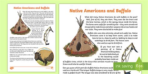 Native American And Buffalo Information Sheet Cfe Twinkl