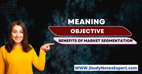 top 5 objectives 7 benefits of market segmentation
