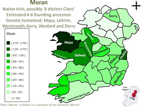 Moran Irish Origenes Use Your Dna To Rediscover Your Irish Origin