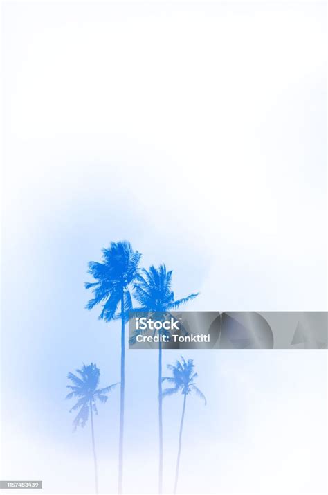 푸른 하늘과 흰색 구름 추상적 인 배경에 태양 빛열대 야자수의 공간을 복사합니다 여름 휴가 와 자연 여행 모험 개념 빈티지 톤 필터 효과 색상 스타일입니다 0명에 대한 스톡