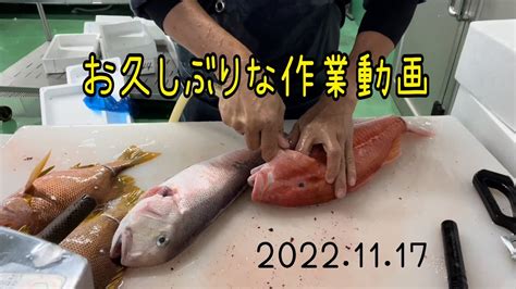 お久しぶりな作業動画20221117編 Vol546 Youtube