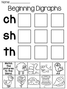 Digraphs Word Sorts Worksheets By Miss Giraffe Tpt