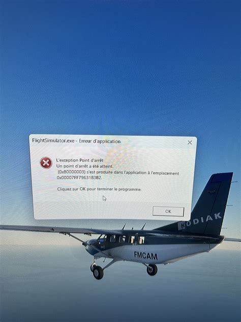 Flightsimulatorexe Application Error 0x80000003 A Breakpoint Has Been Reached 204 By
