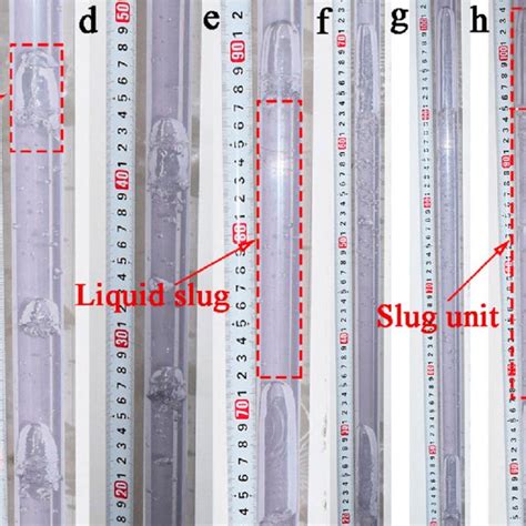 Sketch Diagram Of The Upward Slug Unit Download Scientific Diagram