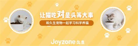 猫粮挑选指南如何给猫咪挑选一款合适的猫粮