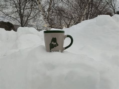 What S The Difference Between Snow Sleet And Freezing Rain Free Technology For Teachers