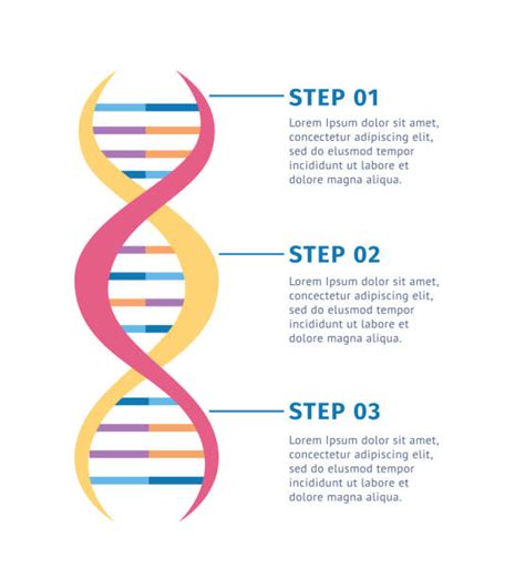Rna Transcription Illustrations Royalty Free Vector Graphics And Clip
