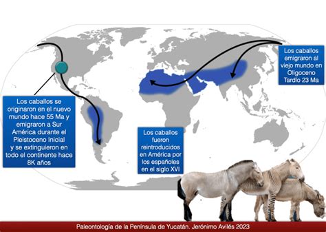 Los Caballos Hallazgos De Sus Orígenes Y Su Evolución