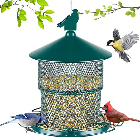 Best Bird Feeder To Attract Cardinals At Edwin Frost Blog