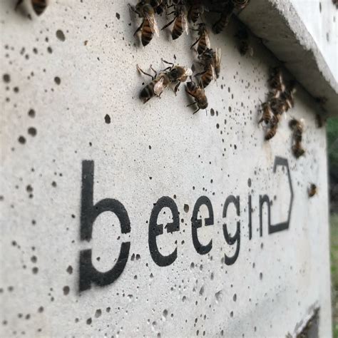 Beegin The Lightweight Concrete Bee Bunka No More