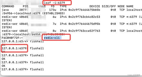 【知识点积累】redis常用命令 Csdn博客 【知识点积累】redis常用命令 Csdn博客