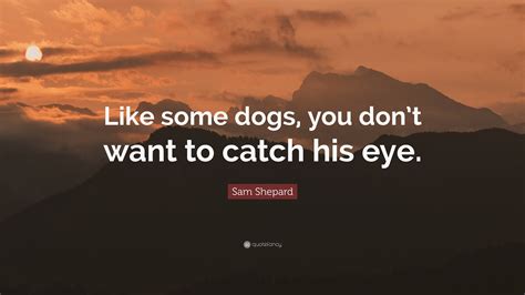 Sam Shepard Quote “like Some Dogs You Dont Want To Catch His Eye”