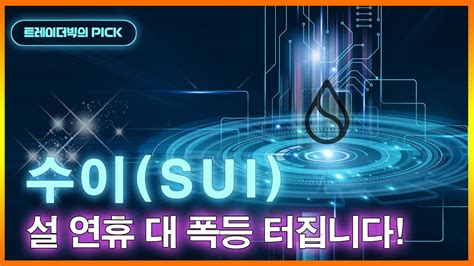 수이 코인 설 연휴 대 폭등 터집니다 수이코인 수이코인전망 수이코인차트 수이코인호재 수이코인시세 Youtube