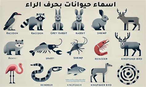 اسماء حيوانات بحرف الراء بيسيات