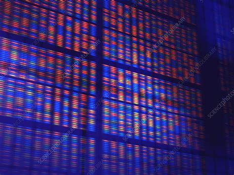 Dna Microarray Artwork Stock Image C021 0973 Science Photo Library