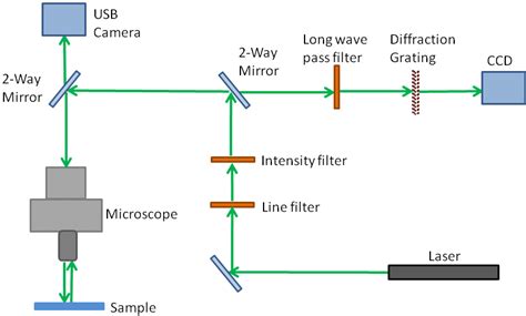 7 Schematic Of The Raman Spectrometer Based On 69 Download