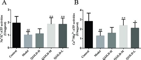 Na K Atpase A And Ca 2 Mg 2 Atpase B Activities In