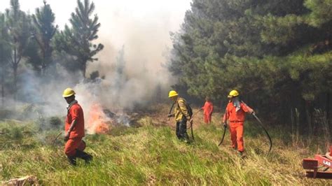 Incendios En Corrientes Miles De Evacuados Y Más De 500 Mil Hectáreas Afectadas Noticias