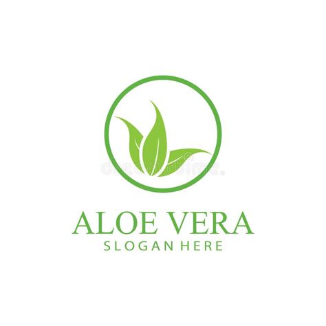Aloe Vera Logo Design Vector Illustration Template Stock Vector