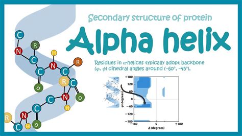 Alpha Helix Structure Design Of Complicated All α Protein Structures