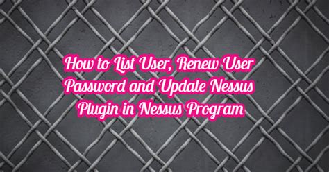 How To List User Renew User Password And Update Nessus Plugin In Nessus Program Systemconf