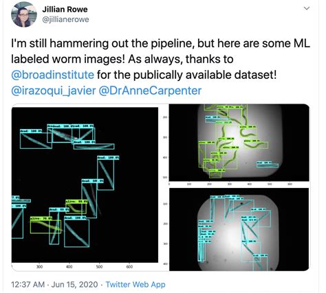 Annotations For Shape Layers · Issue 177 · Naparinapari · Github