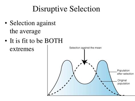 Ppt Evolution Powerpoint Presentation Free Download Id1979724