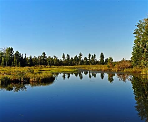 Elevation Of Forest County Wi Usa Topographic Map Altitude Map