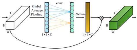 Research On A Real Time Monitoring System For Campus Woodland Fires Via Deep Learning