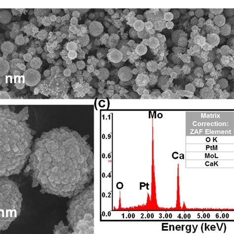 A Low Magnification FE SEM Image B High Magnification FE SEM Image Download Scientific